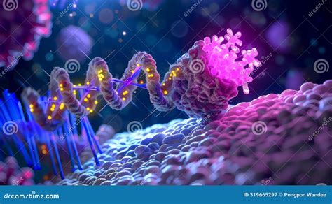 Gene Editing Using Crispr Cas9 Technology With Targeted Modifications
