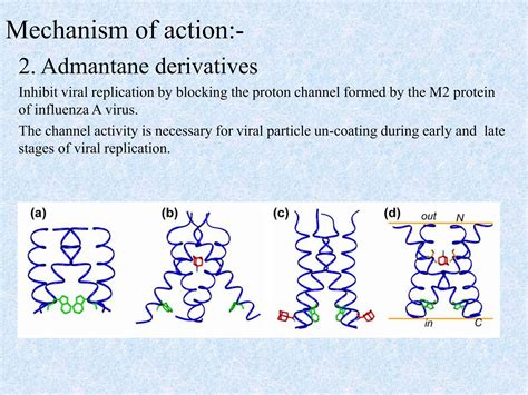 Antiviral Agentspptx