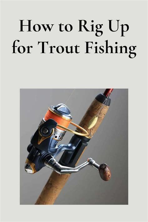 Trout Fishing 101 How To Rig Up For Trout Fishing Like A Pro