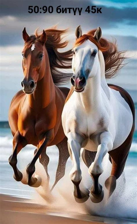 Шигтгээн 🐎Морь🐎 Үр хүүхдийг ивээдэг Хурдан шаламгай шантрашгүй мятрашгүй зан чанарыг