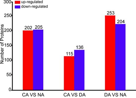 Number Of Differentially Accumulated Proteins Among Different Samples