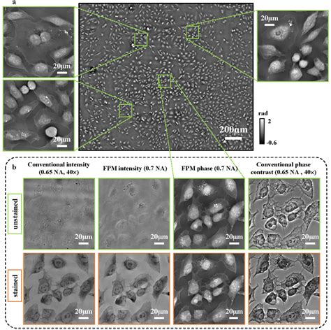Quantitative Fpm Reconstructions Using New Algorithms Before And After