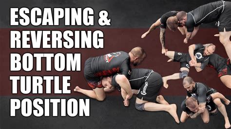 Powerful Reversals From Bottom Turtle For Submission Grappling Youtube