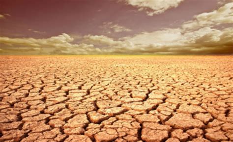 O Que é A Desertificação Conheça Efeitos Causas E Alternativas De