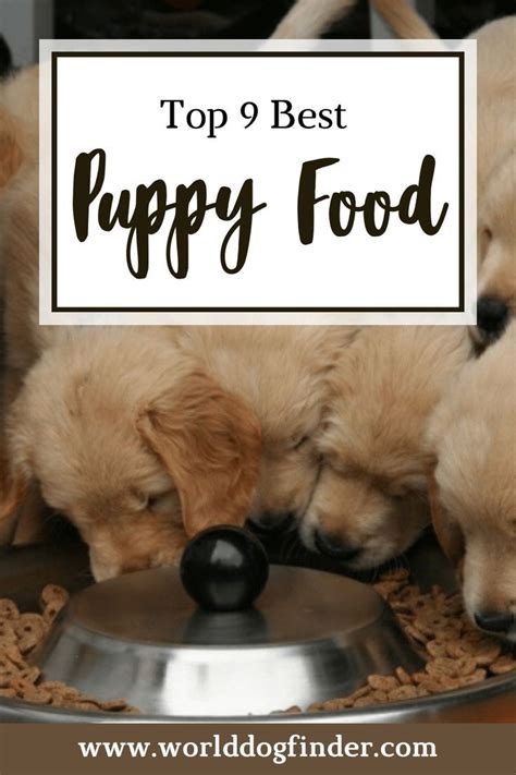 Top 9 Best Puppy Food Puppy Food Best Dry Dog Food Best Puppy Food