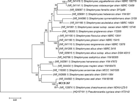 Neighbor Joining Phylogenetic Dendrogram Based On 16s Rrna Gene Download Scientific Diagram