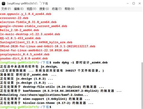 程序员 麒麟操作系统 Kylinos 从入门到精通 办公环境 第四十一篇 Ui设计工具adobe Xd、sketch替代