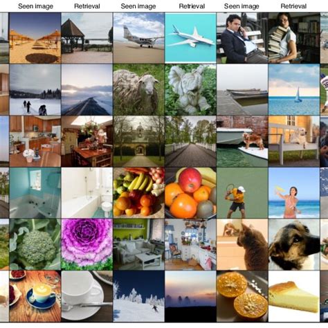 pdf reconstructing the mind s eye fmri to image with contrastive
