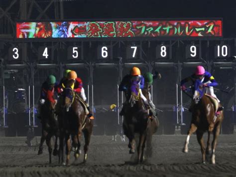 大みそかは豪華5重賞 19時50分発走の高知11rまで注目レース数多く 競馬ニュース Netkeiba