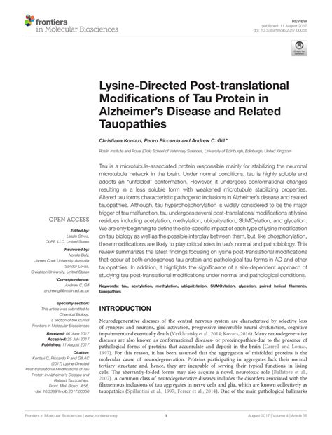 Pdf Lysine Directed Post Translational Modifications Of Tau Protein