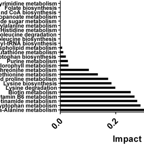 Metabolite Pathway Analysis Utilizing Metaboanalyst 5 1 Of 92 Download Scientific Diagram