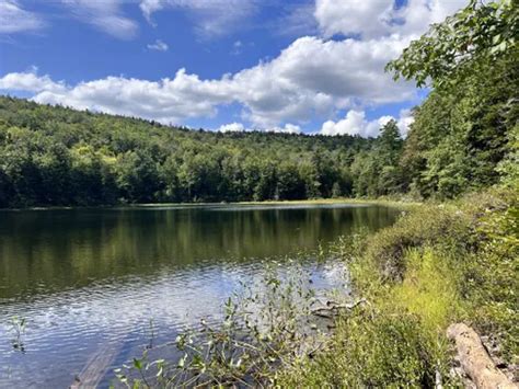 2023 Best Wildlife Trails In Hancock Alltrails