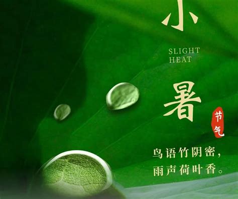 小暑至，养生正当时 知乎