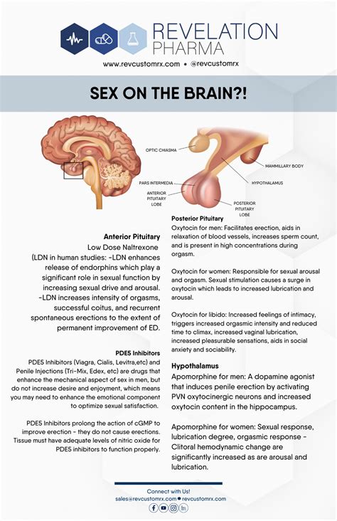 Sex On The Brain Handout Revelation Revelation Marketing