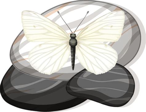 White Butterfly Vector Art Icons And Graphics For Free Download