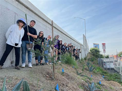 Volunteer The Pico Union Project Volunteer The Pico Union Project