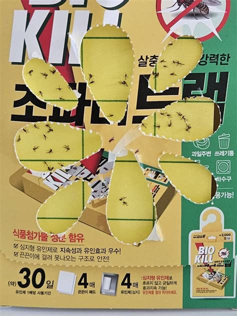 우리 집 초파리 잡은 거 볼 사람 인스티즈 Instiz 일상 카테고리