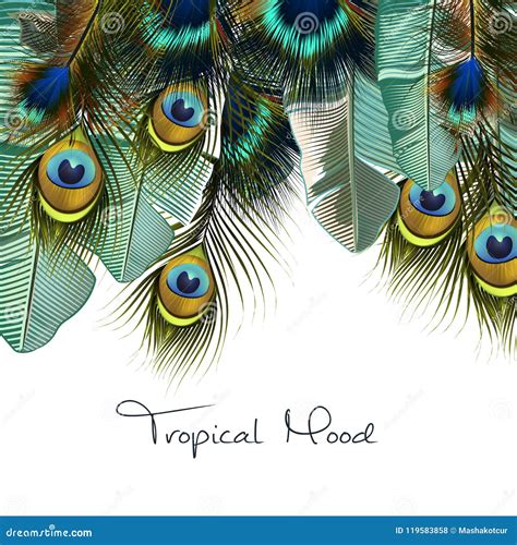 Peacock Feathers Wedding Background Printable Vector Frame