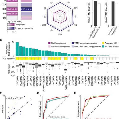 Effects Of Tumour Suppressors And Oncogenes On Time And Icb Response A