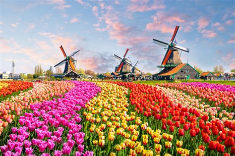 Travel To The Kingdom Of The Netherlands A Life Experience