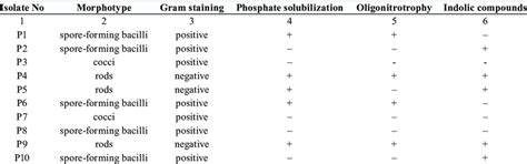 Plant Growth Promoting Traits Of Endophytic Bacteria Download