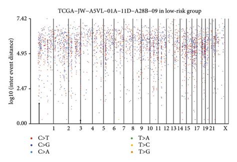 De Novo Mutational Signature Analysis Mutation Signatures Matched