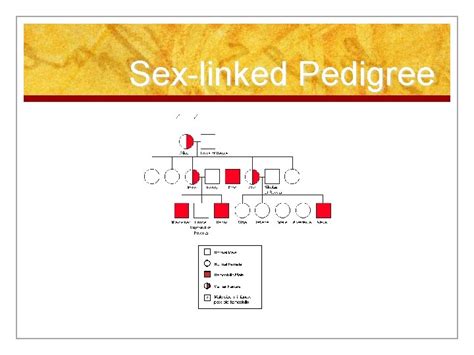 Single Gene Inheritance How Traits Are Passed On