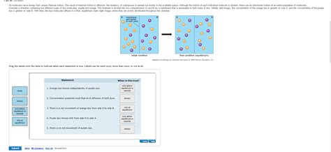 Solved Diffusion Help Chegg