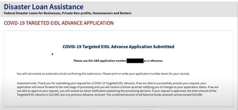 NEW SBA Targeted EIDL 10 000 Grant Application Freedom Tax