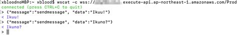 API Gateway AWS SAM GolangでWebSocket通信を行うデロイト トーマツ ウェブサービス株式会社DWS公式ブログ