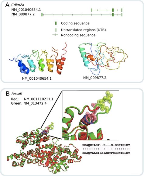 Figure 3 From The Emerging Era Of Genomic Data Integration For