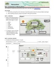 Introduction To Photosynthesis Overview Chemical Process And