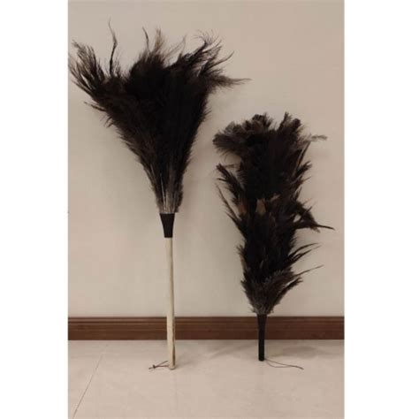 خرید و قیمت گردگیر پر شتر مرغ دسته بلند از غرفه گالری دانش آوران