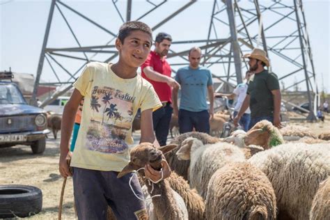 Qurban Bayram Feast Of The Sacrifice In Azerbaijan Jamnews
