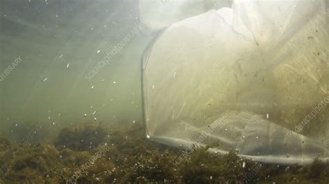 Fine Sediment And Brown Epiphytic Algae Being Sampled In River Stock
