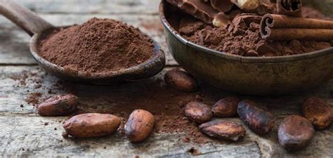 How To Grow Cocoa Beans For Chocolate Making