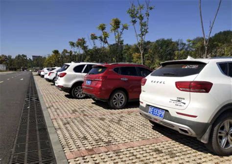 金秋十月 丹桂飘香 一次探访自然之旅 上饶元盛哈弗车友会自驾游圆满结搜狐汽车搜狐网