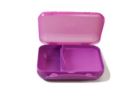Tupperware Lunchbox Lunch Box Lila Mit Trennung