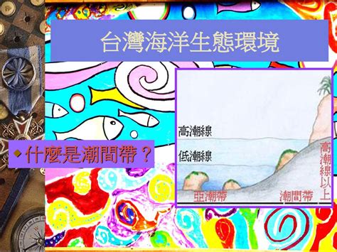海洋教育專業成長增能講座 Ppt Download