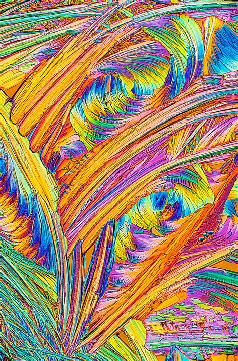 Colorful Close Up By Stocksy Contributor Robert Kohlhuber Stocksy