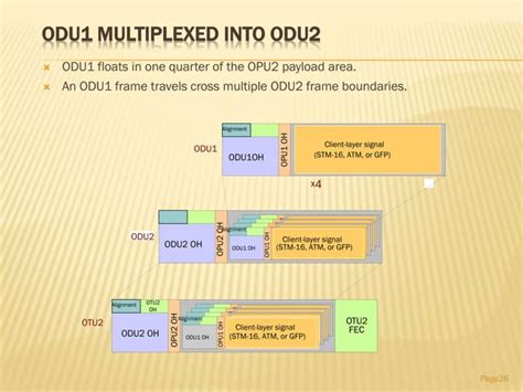 Otn For Beginners Pptx Computer Networking Computing
