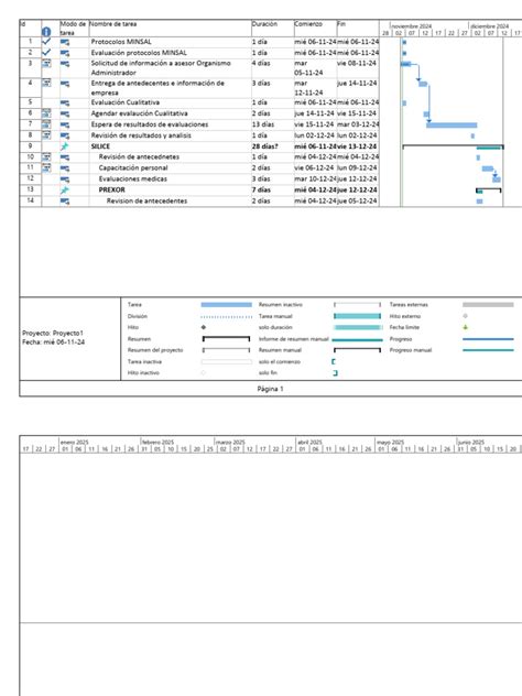 Protocolos Minsal Programación Pdf