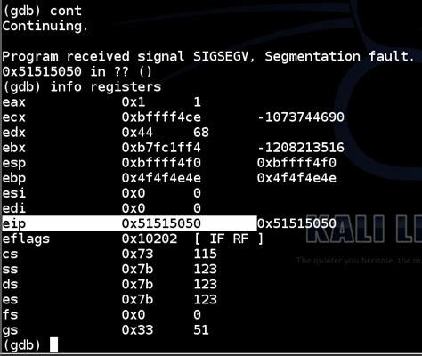 Linux Buffer Overflow Without Shellcode