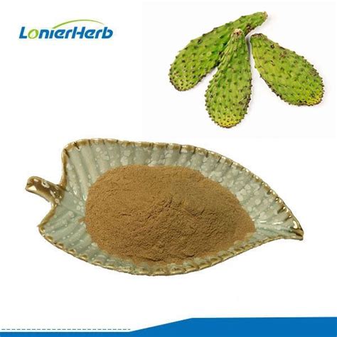 High Quality Opuntia Ficus Indica Extract Suppliers, Manufacturers ...