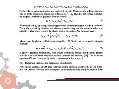 Three Dimensional Model Of Bone External Adaptation Ppt
