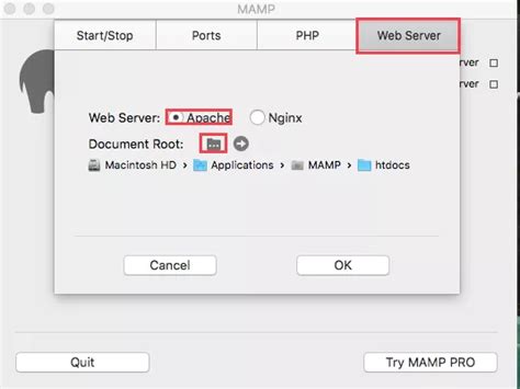 在mac osx上安装magento 2的4个步骤 跨境电商独立站开发 wordpress教程 magento中文博客