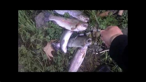 Pa Spring Trout Fishing 2012 5 Youtube