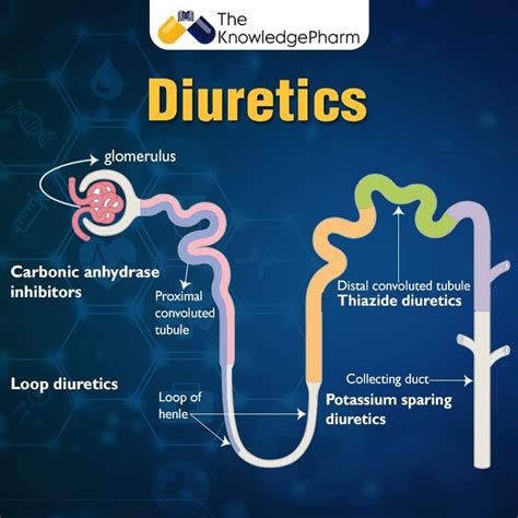 Diuretics Nursing Pharmacology Mnemonics Medical School Stuff
