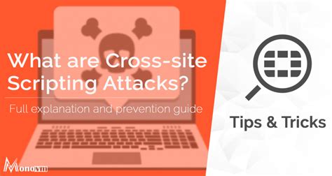 What Is Cross Site Scripting