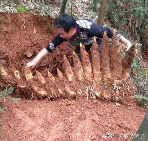 看了笑到眼皮抽筋的二十九張圖99911188 每日頭條